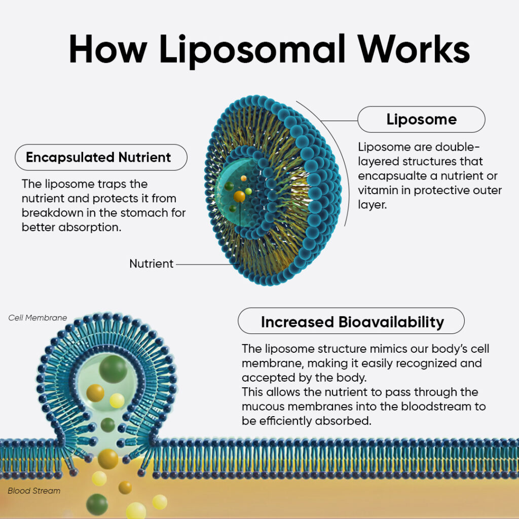 Lipo Crystal-2 - bykare.com